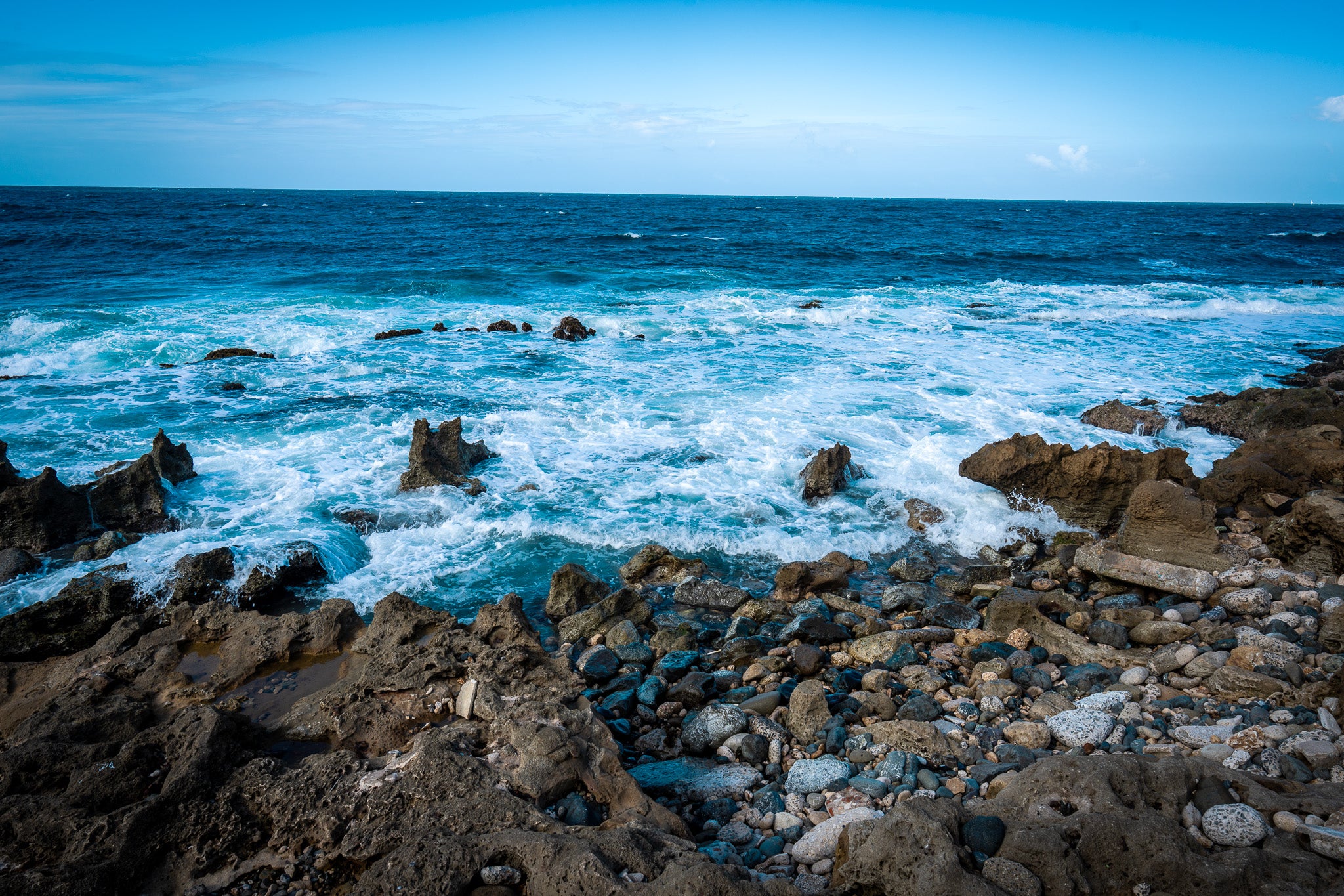 Untamed Blue – Kristin Munn Photography